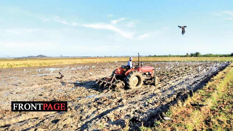 Farmers hopeful of bumper harvest using compost – FrontPage