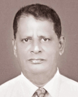 All Island JP – FrontPage